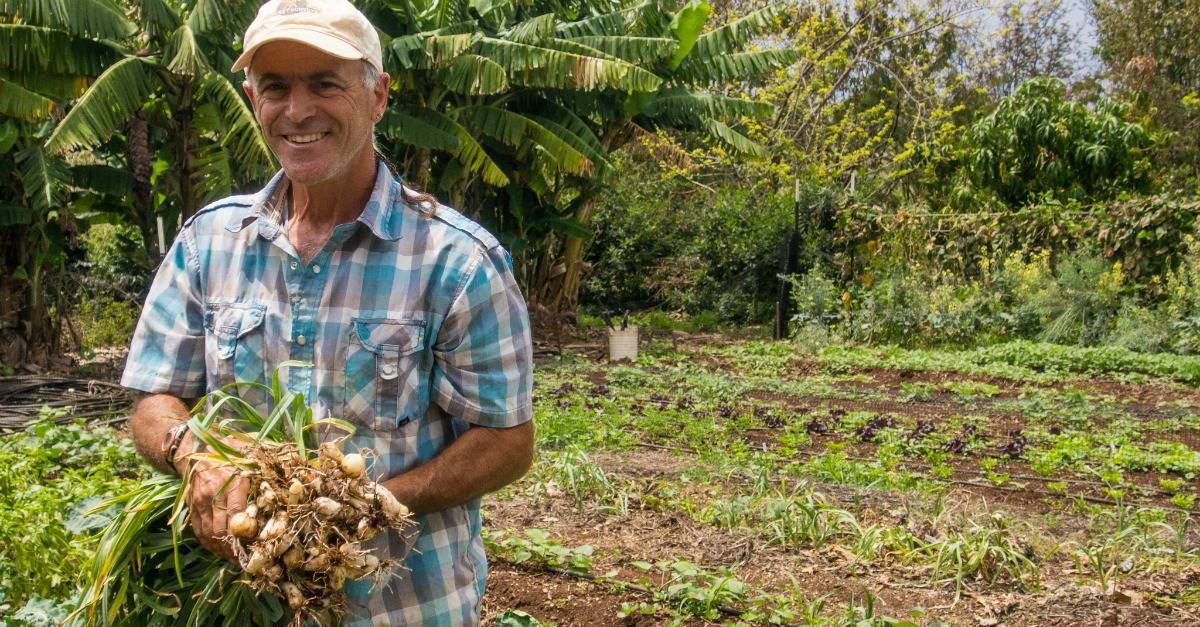 Kupa'a Farm: An organic Farm on Maui
