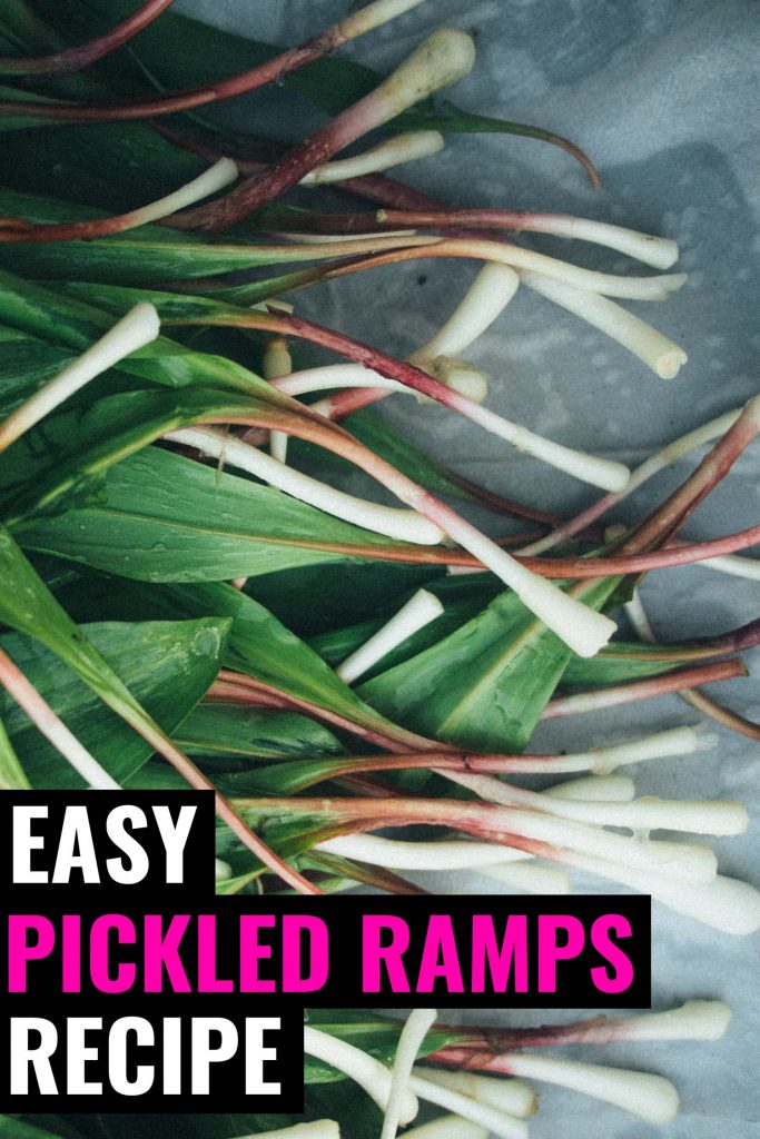 How to Pickle Ramps aka Wild Leeks - Beginner's Guide!