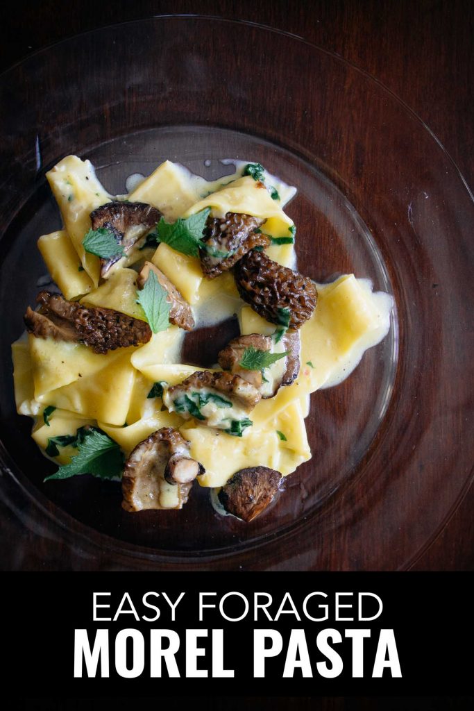 Easy Morel Pasta - Wild Mushroom Foraging | Bacon is Magic