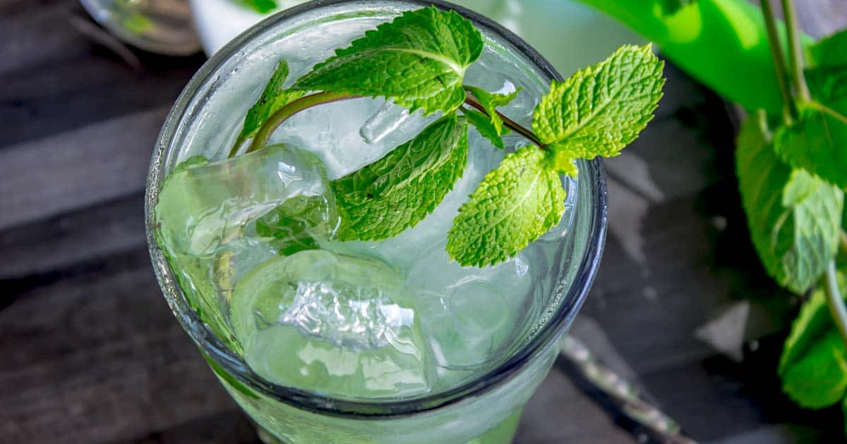 21 Classic Cuban Drinks You're Going to Love - Bacon is Magic