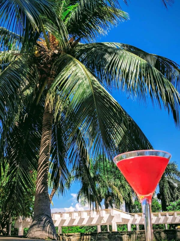 21 Classic Cuban Drinks You're Going to Love - Bacon is Magic