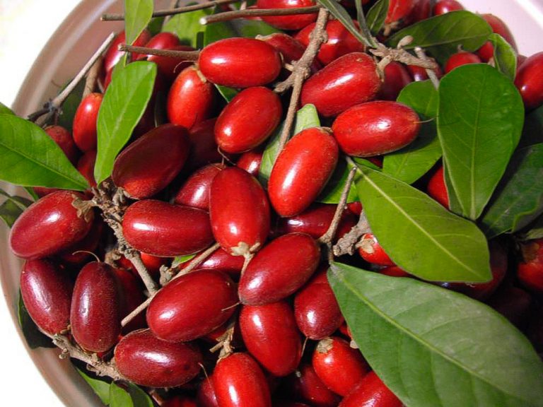 21 Exotic Fruits Around the World (Where + When to Eat Them)