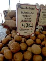 21 Exotic Fruits Around the World (Where + When to Eat Them)