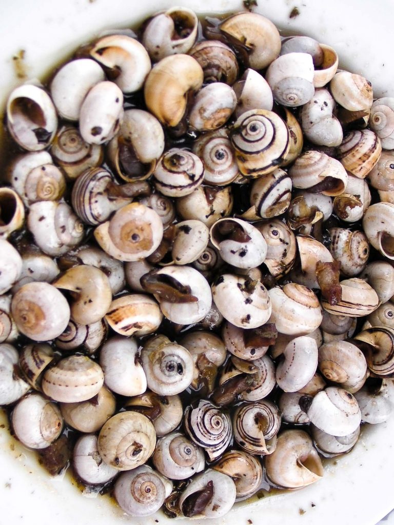 Delicious Food in Lisbon: 23 Dishes You Don't Want to Miss