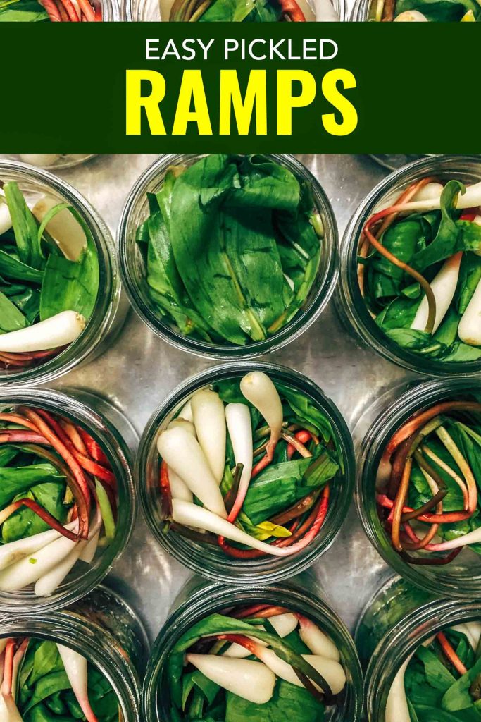 How to Pickle Ramps aka Wild Leeks - Beginner's Guide!