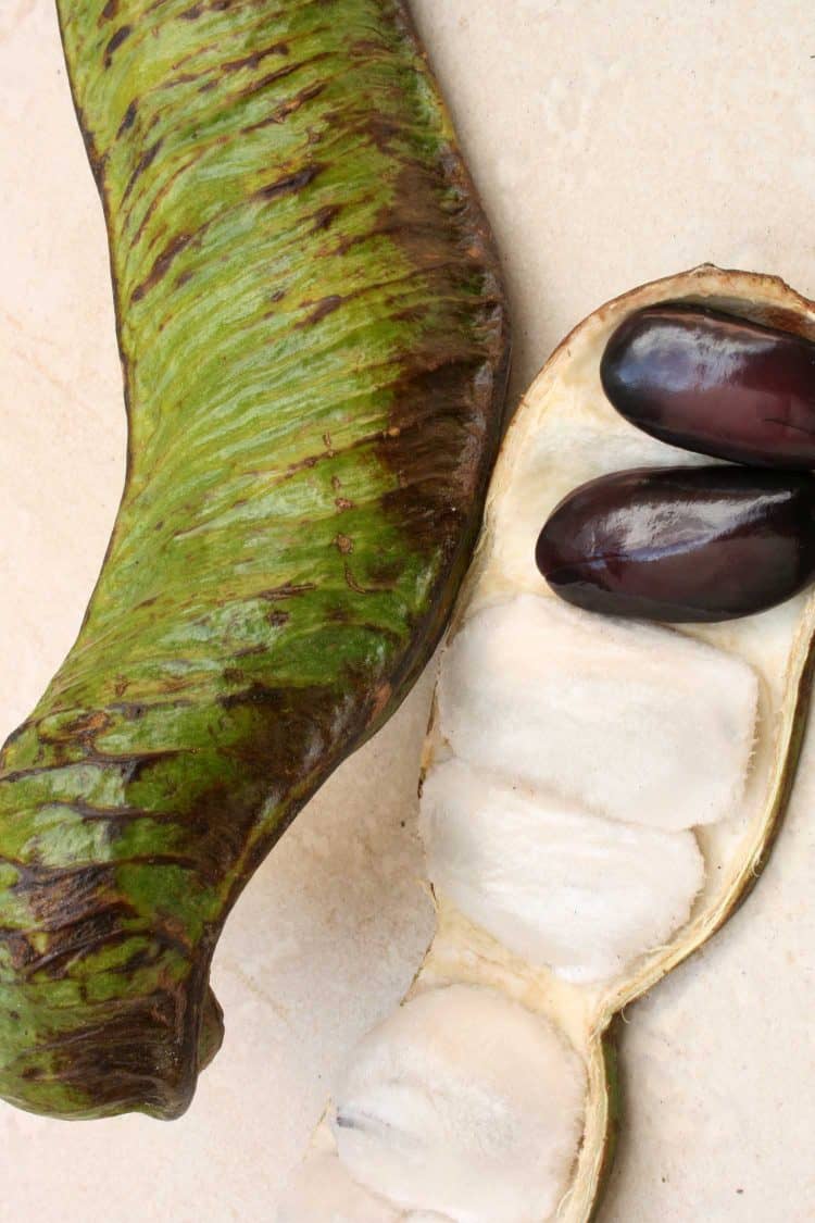 27 Exotic Costa Rican Fruit to Eat for a Healthy Holiday