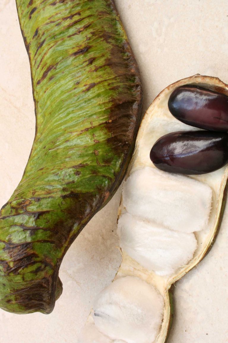 27 Exotic Costa Rican Fruit to Eat for a Healthy Holiday