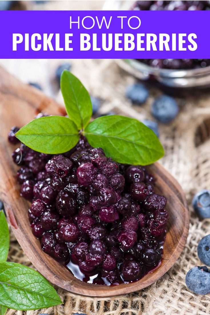 10 Minute Pickled Blueberries - Easy Fridge Pickle Recipe