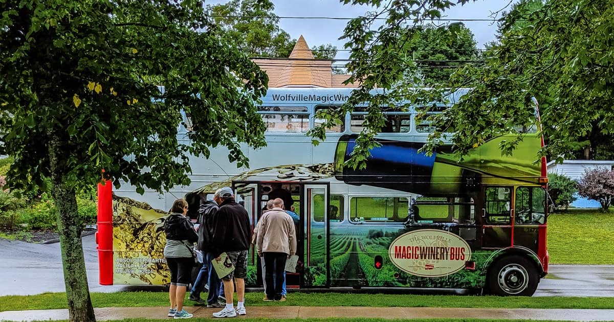 Is the Magic Winery Bus Worth it? An Honest Review