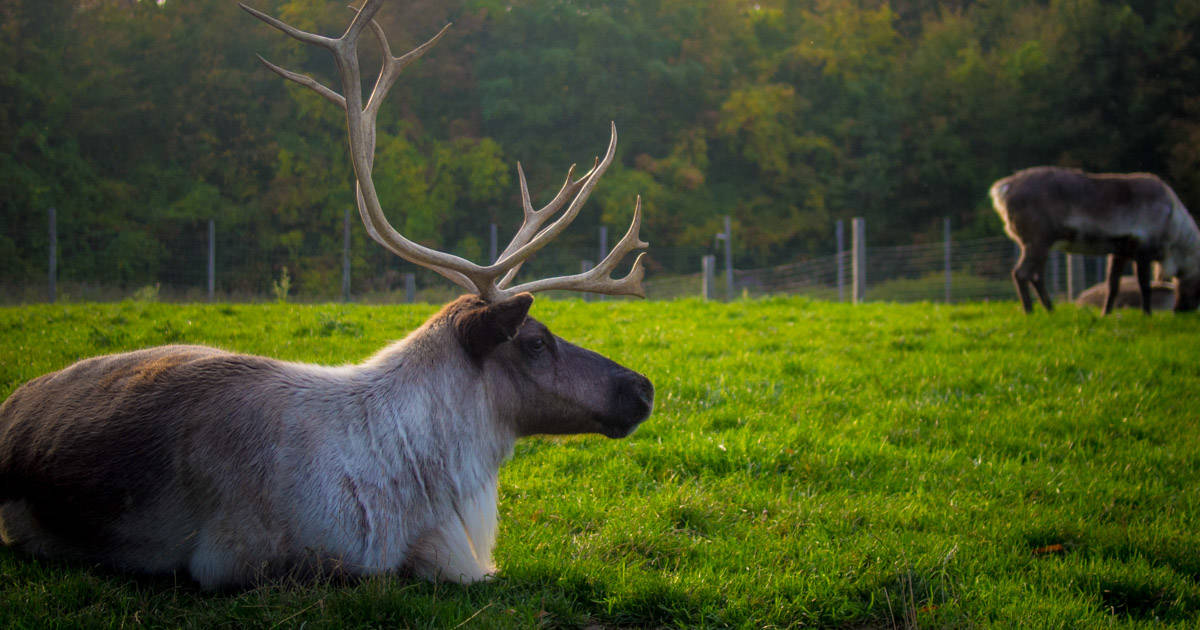 Day Trip From Toronto: Things to Do in Grey County - Bacon is Magic