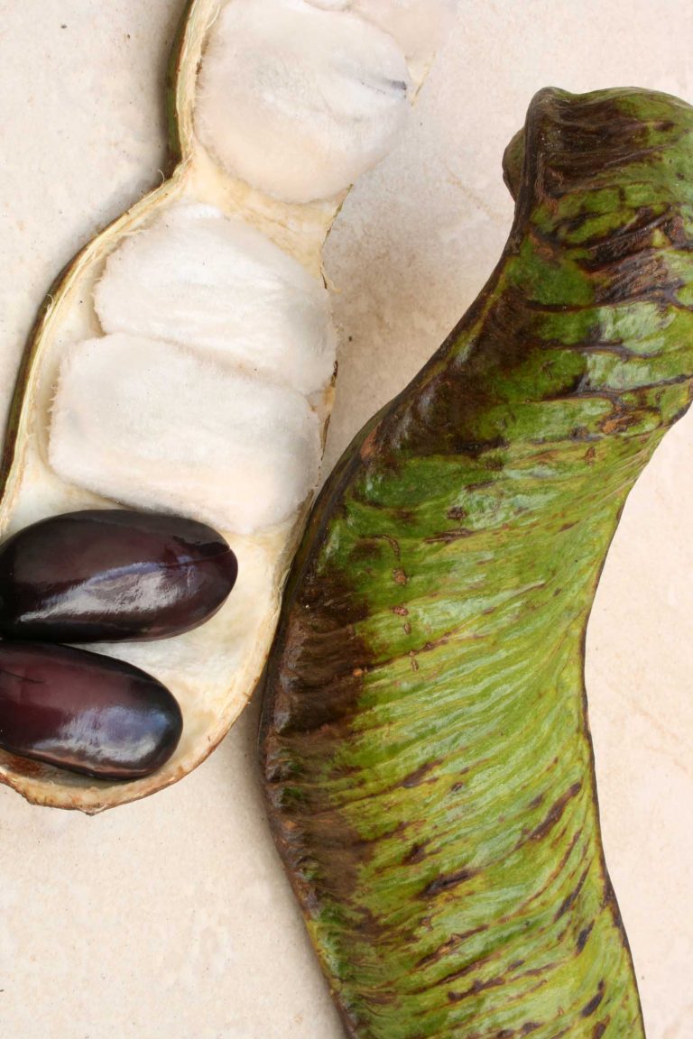 21 Unusual Peru Fruit You Need to Try - Bacon is Magic