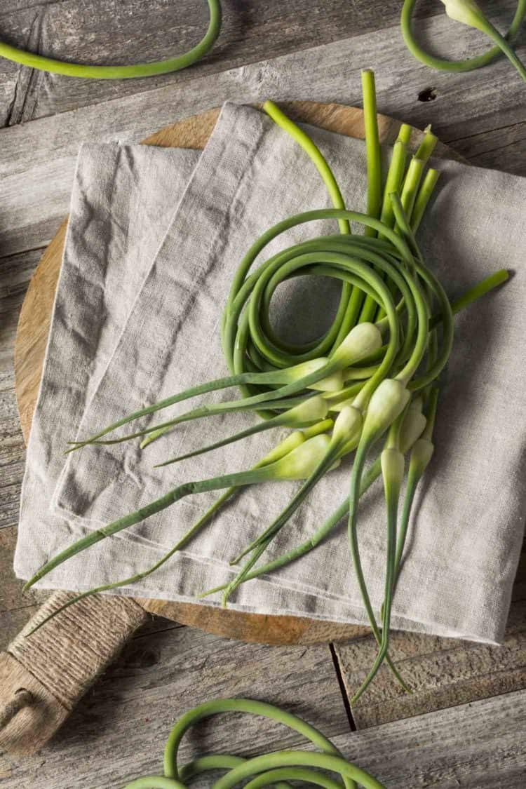 13 Garlic Scapes Recipes You Need to Try - Bacon is Magic