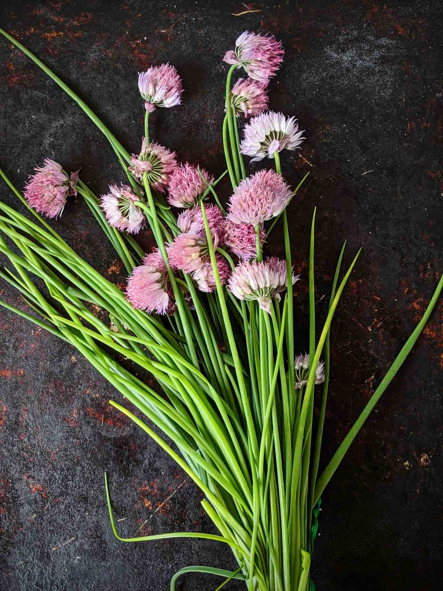 Whipped Chive Butter in Just 3 Minutes! - Bacon is Magic