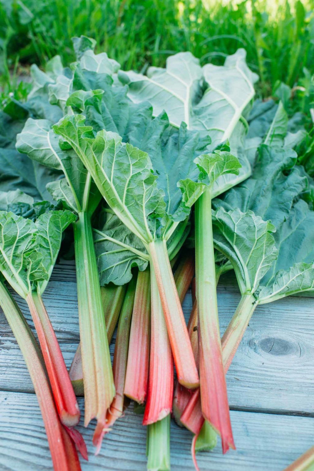 Rhubarb Drinks - Bacon is Magic