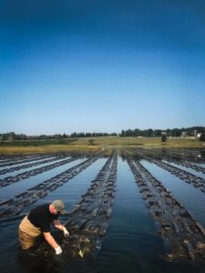 PEI Food: Best Things to Eat on Prince Edward Island