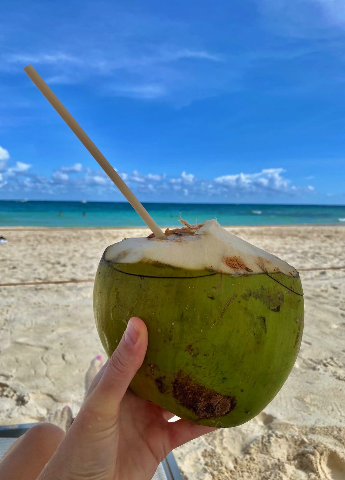 19 Traditional Seychelles Food + Drinks and Where to Get Them