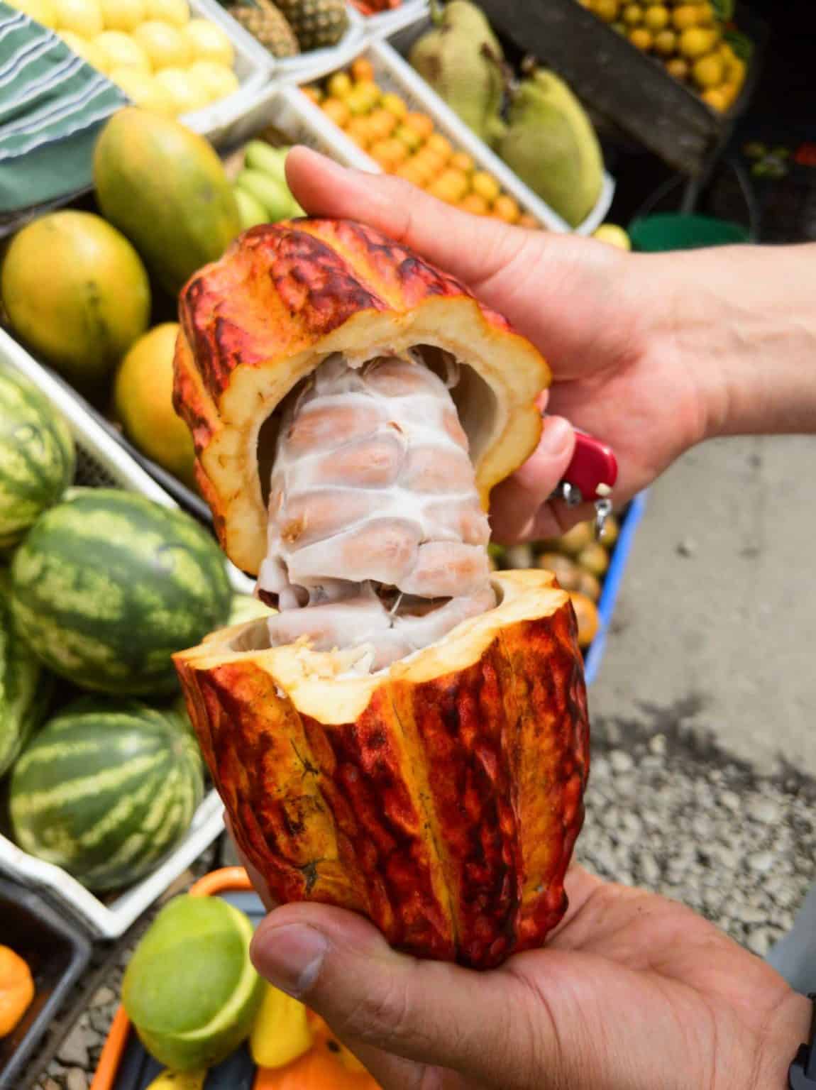 27 Exotic Bali Fruits Worth Traveling For