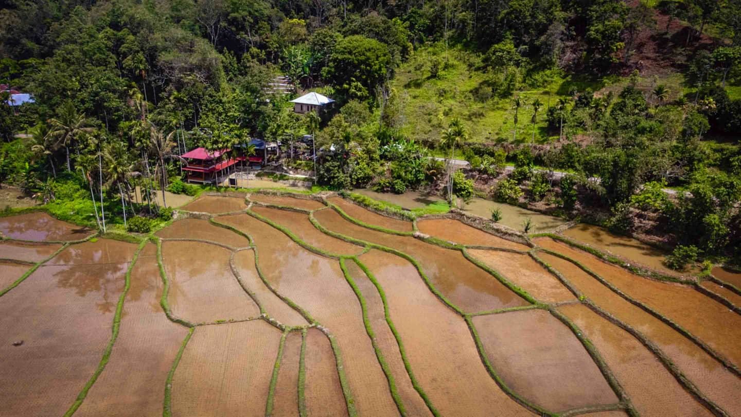 Teh Talua: Libido Boosting Egg Tea (RECIPE)