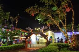 Christmas in Honduras: Delicious Food & Family Traditions